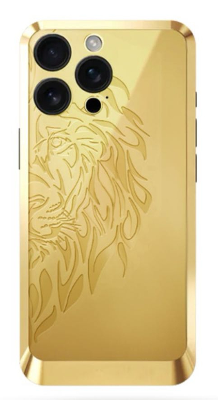iPhone uchun Caselar tillo va tillo suvli, zakazga obkeberiladi.