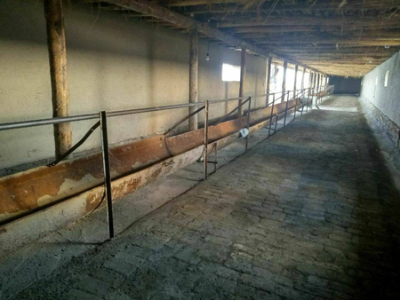 Molxona Va Baliqxona Sotiladi