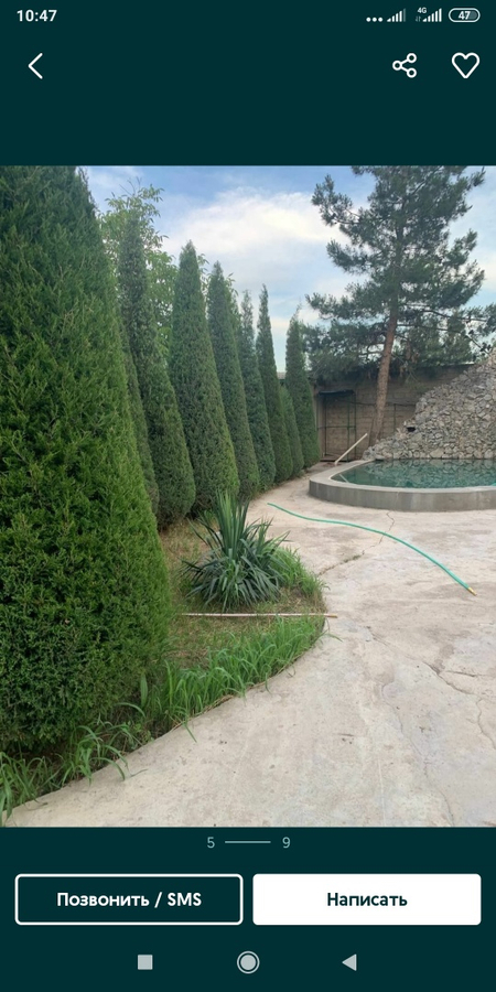Dacha arendaga beriladi