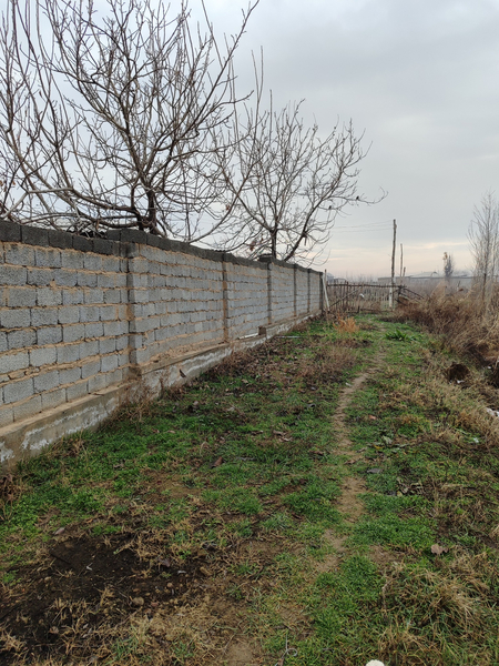Chinoz tumani Isloxot MFY da xovli sotiladi