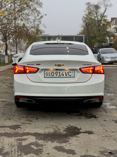 Arenda Malibu 2 premier