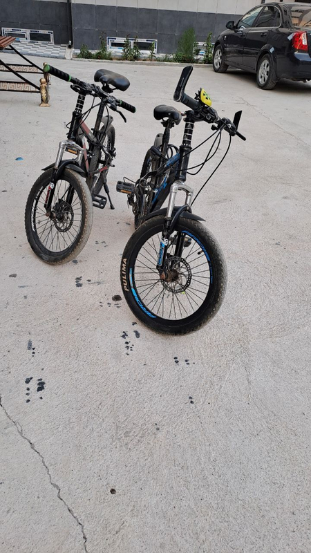 Velik            b