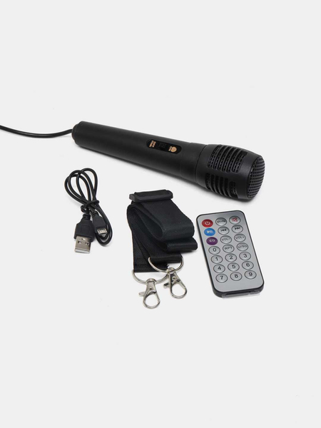 Портативная колонка с 
микрофоном Sing-e ZQS4239