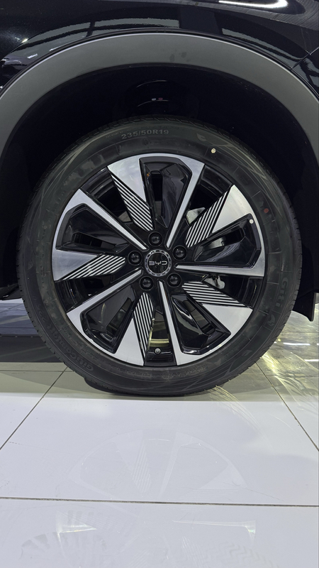 Byd song chempion 2025