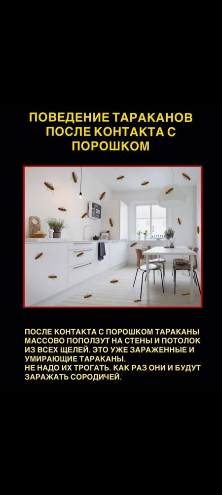 Продажа тиурам от 30 видов насекомых