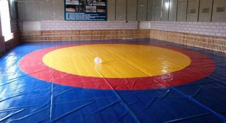 Спортивные маты, БОРЦОВСКИЙ ковёр тент, Ковер,tatami, маты гимнастика