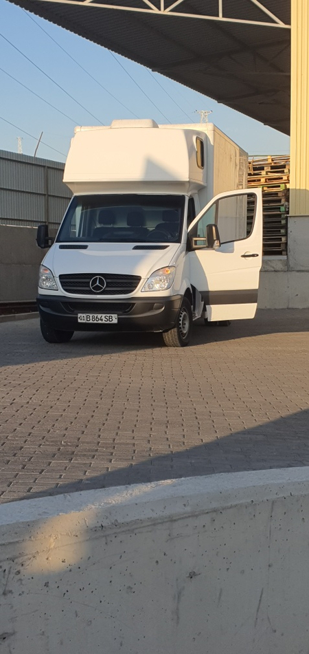 Mercedes-Benz sprinter benzin gaz zavod 271 mator