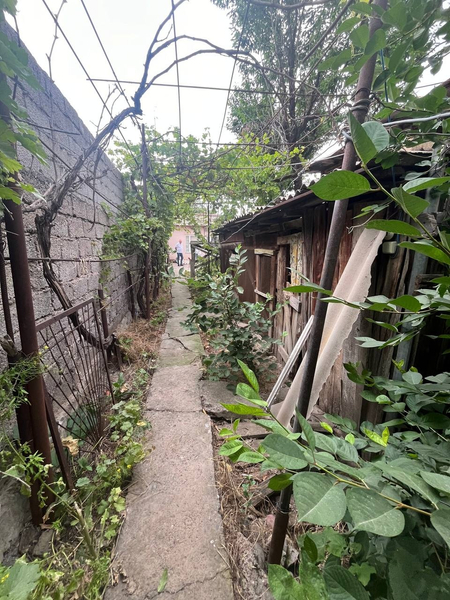 Дом 6 сот дурмен