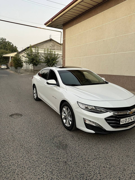 Malibu 2 turbo 2021 kraska toza