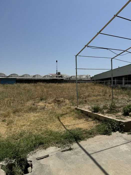 Аренда 3 комнатная, 22 сотихли  Участка Ункургонда БУМ 200$ ID SH 507