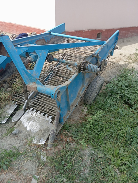Kartoshka kapalka