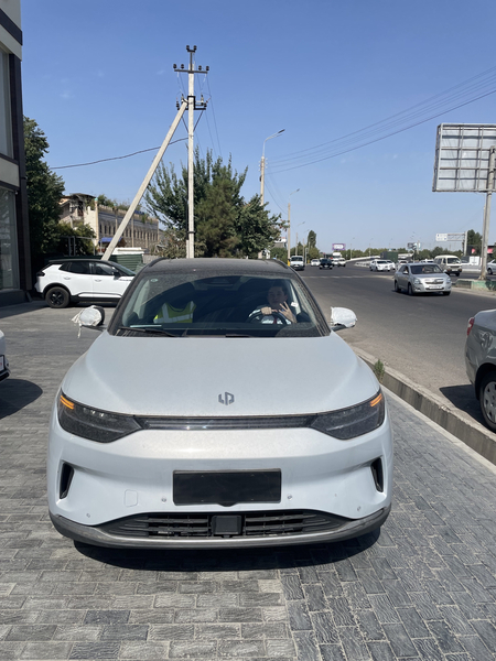 Leapmotor C11 Dual Motor 550km Full