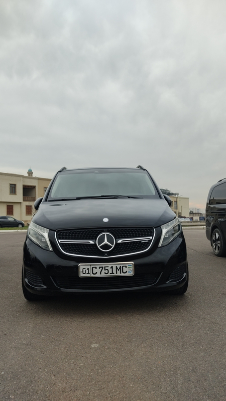 Mersedes miniven