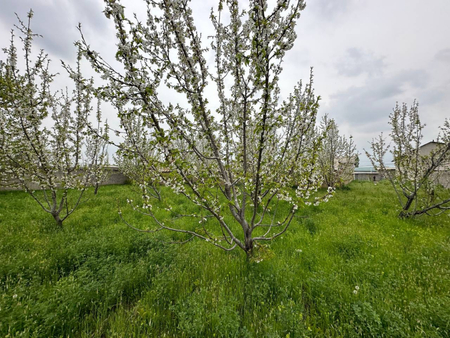 Продаётся участок 12 соток