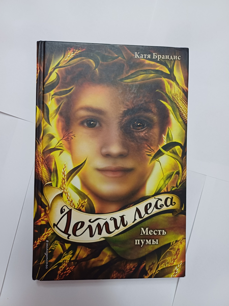 Книги Дети леса Катя Брондис