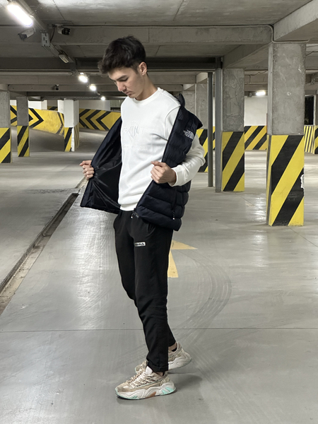 Жилетка The North Face