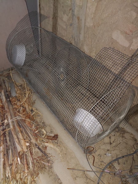Katak sotiladi 2.50 ×1.20