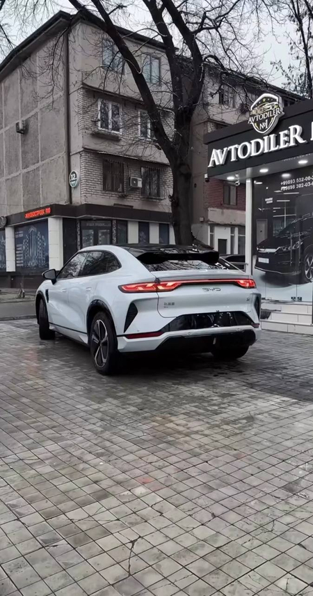 Byd song L 2024.