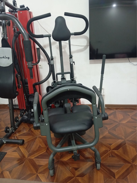 Вертикализатор EasyStandGilder