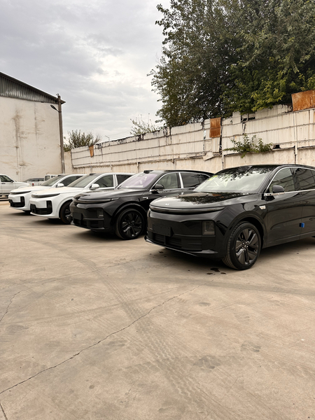 Lixiang L6 max R21