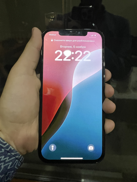 iPhone 12 Pro Max idial