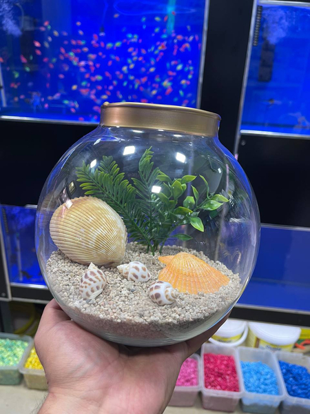Dumaloq akvarium har xil turdagi