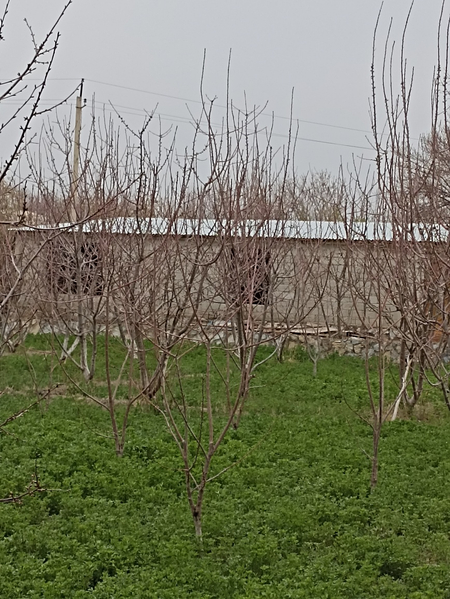 Продаются дача ,