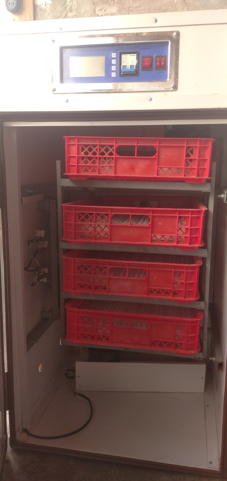 Инкубатор 350тали, автомат