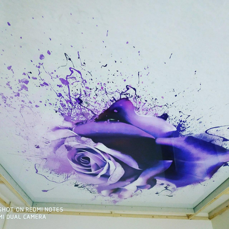 Натяжные потолки 75000