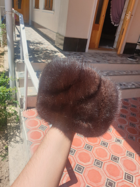 Telpak arzonga ayollar uchun haqaiqiy moyna