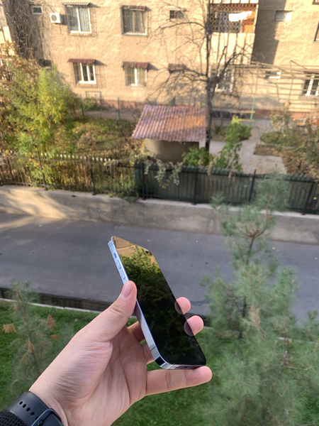 iPhone 13 Pro Max 128Gb