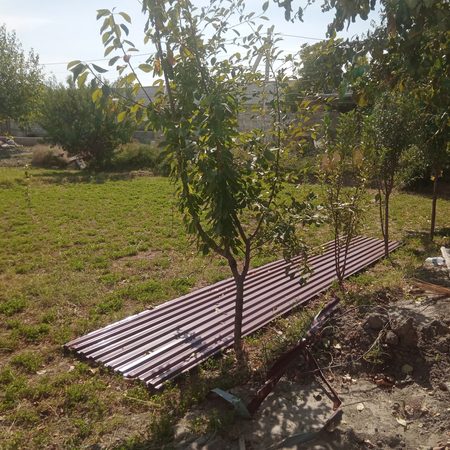 Yer maydoni sotiladi