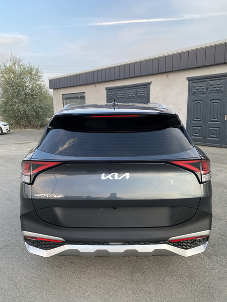 Kia Sportage, Luxe