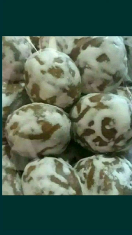 Bir oy muddatda turadi