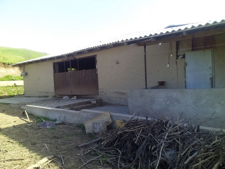 Ferma bog' 40 sotix sotiladi