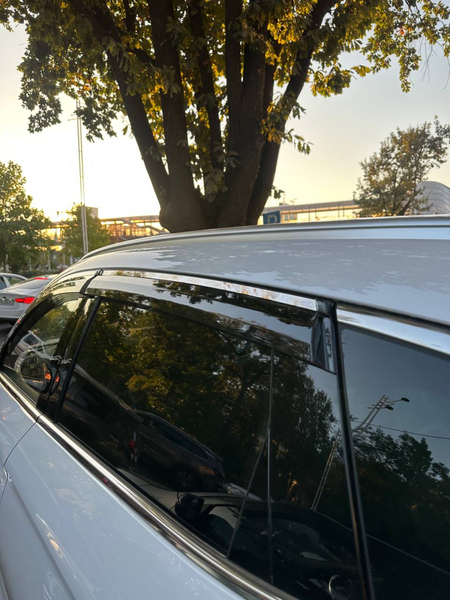 Vetrovik BYD song plus (chempion)
