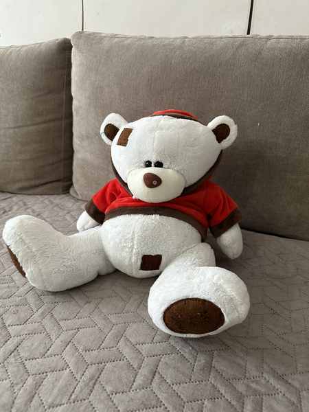 Плюшевый мишка Teddy, чистый