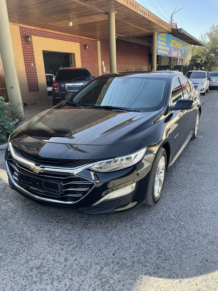 Malibu 2 premier