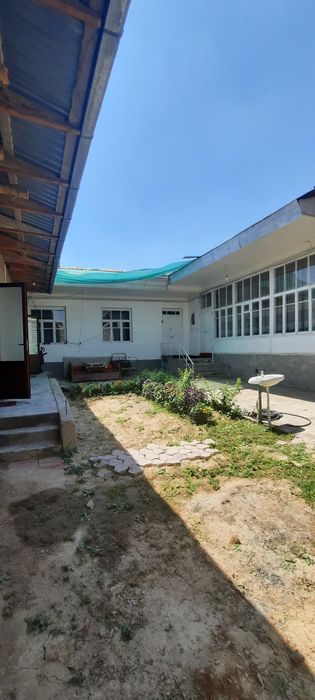 Дурмень цен.4с.5хона