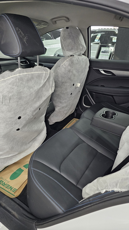 GEELY geometry ev500