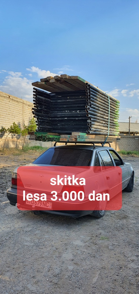 Arenda lesa 3000 mindan arendasi