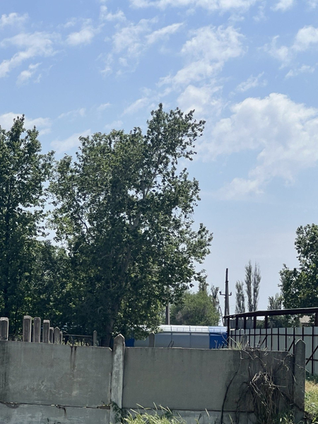 Продаётся земля Сергили КФЙ