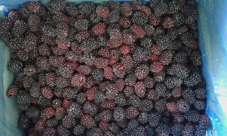 Самые дешевые цены на  замороженных ягод:клюква,черника,смородина