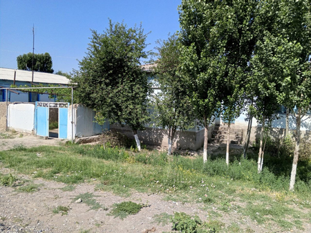 Toshkent viloyati Bekobod tumani Farxod M.F.Y