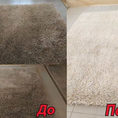 Химчистка ковров на месте