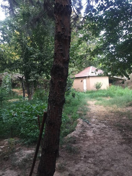 Uy va ferma va landshafniy yashash uchun joy srochna sotuvda
