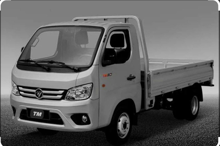 Foton Truck Mate 1