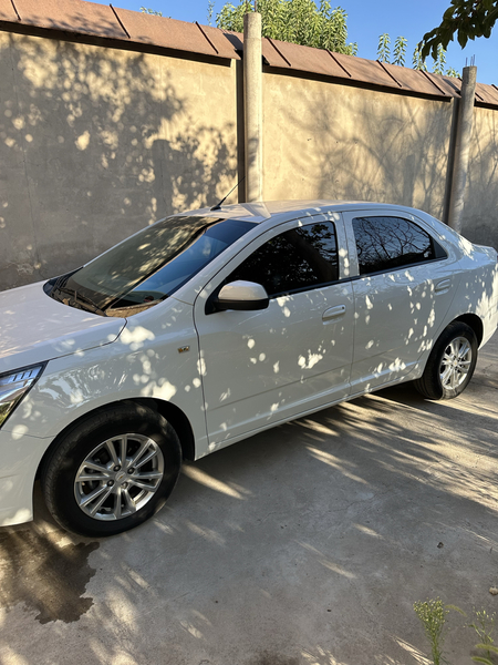 Cobalt 2022 kraska toza