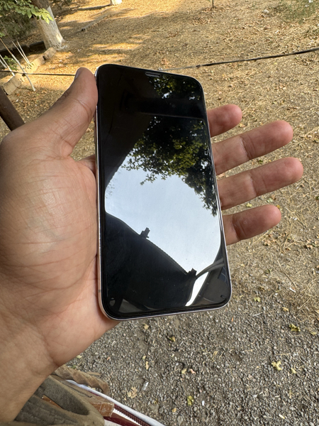 iPhone X 64Gb 100%