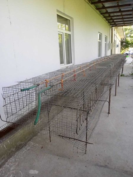 Tovuq boqish uchun mo\\\'ljallangan